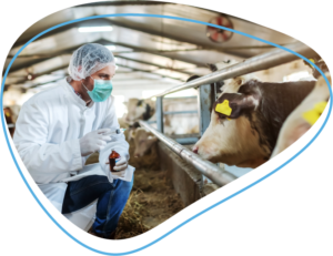 Who we are – Klybeck